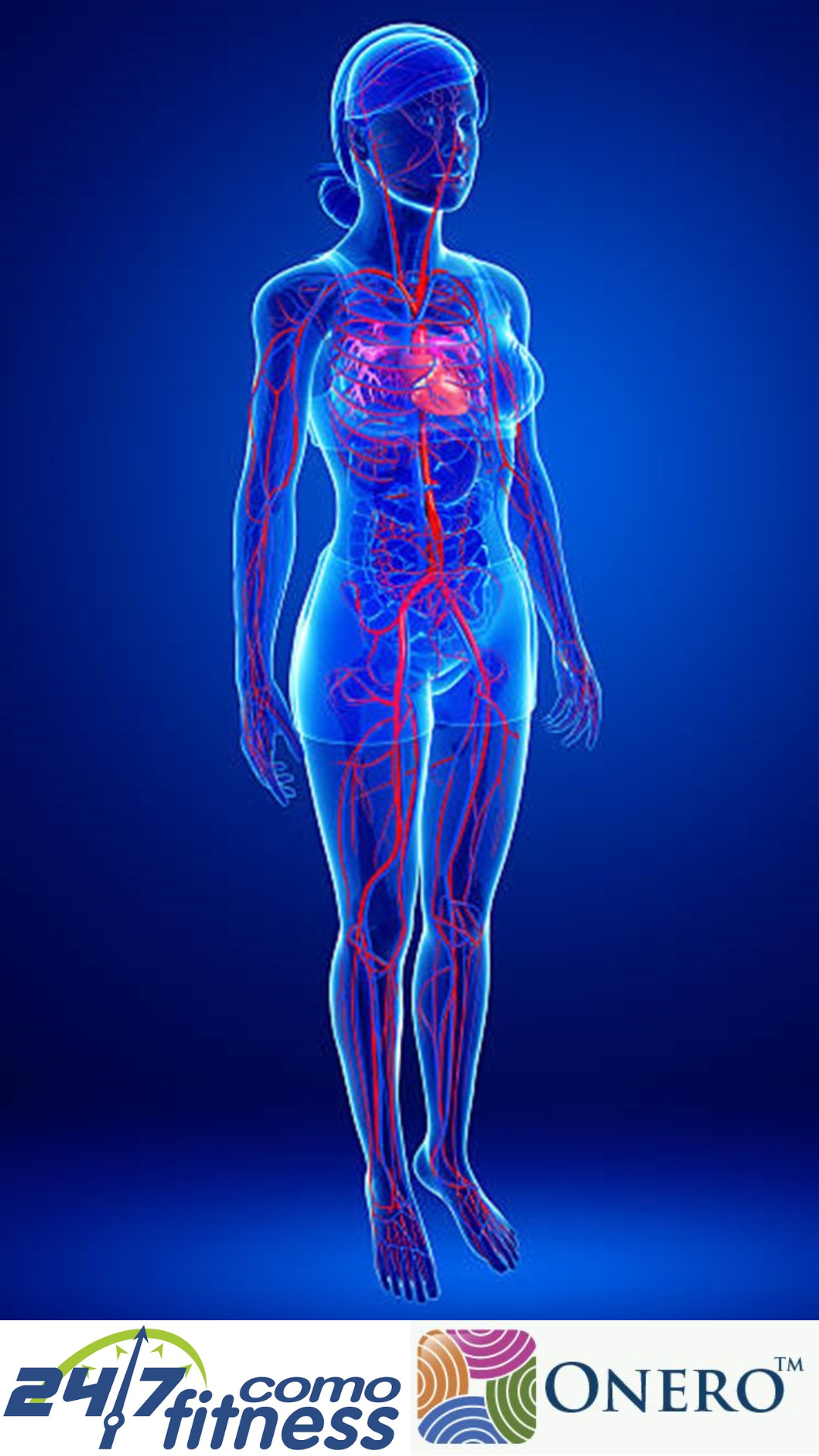 Strengthen Your Bones with Como Fitness 24/7's ONERO™ Program! - Como ...